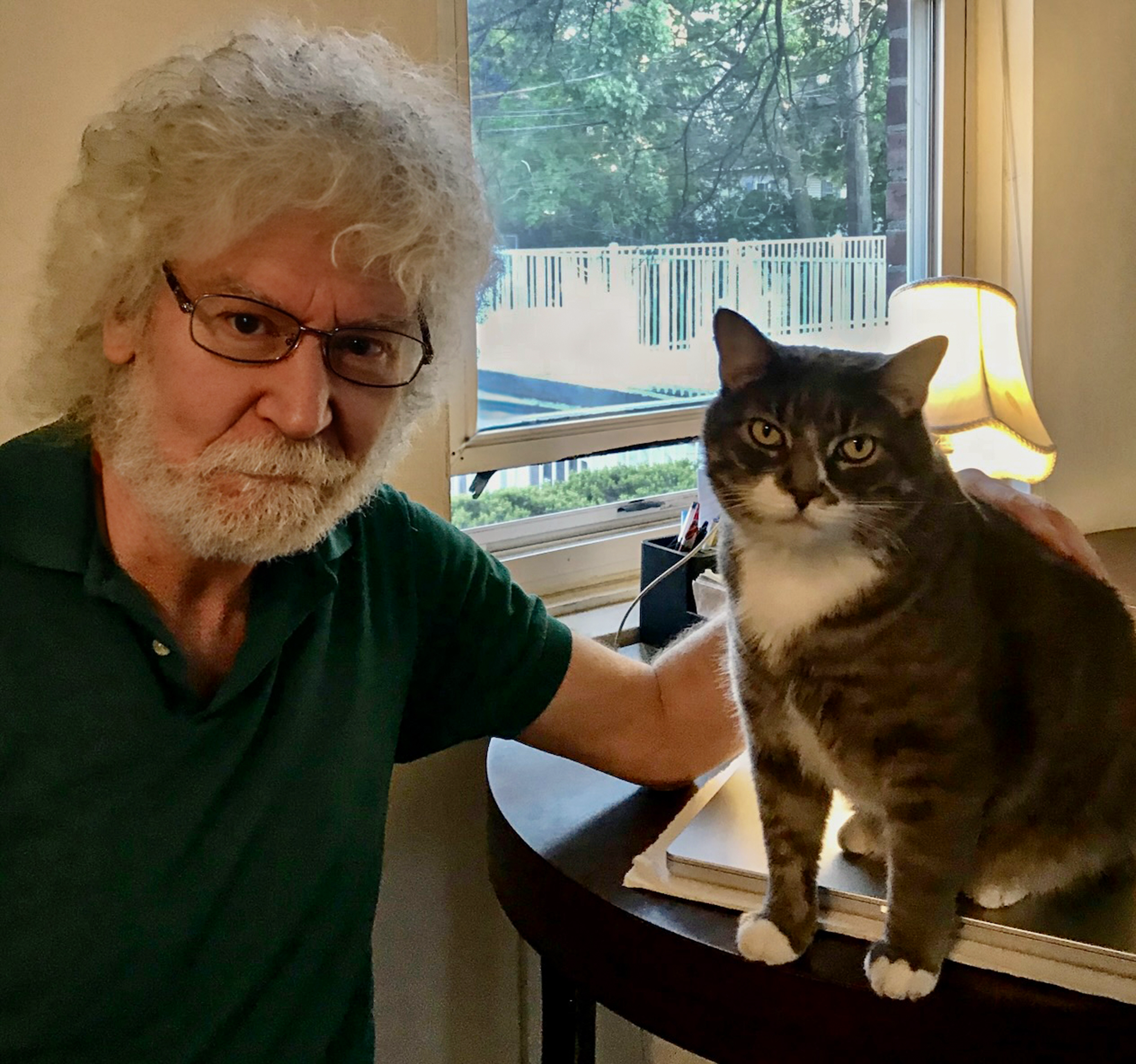 ‘Misty the Cat…Unleashed’ Is Unleashed into the Book World | Dave Astor ...