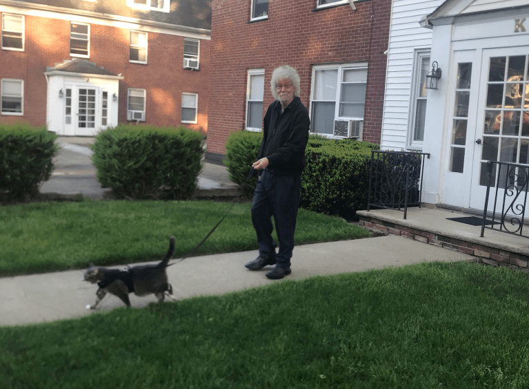 A Kitty with Nine Lives and Ten Favorite Novels | Dave Astor on Literature