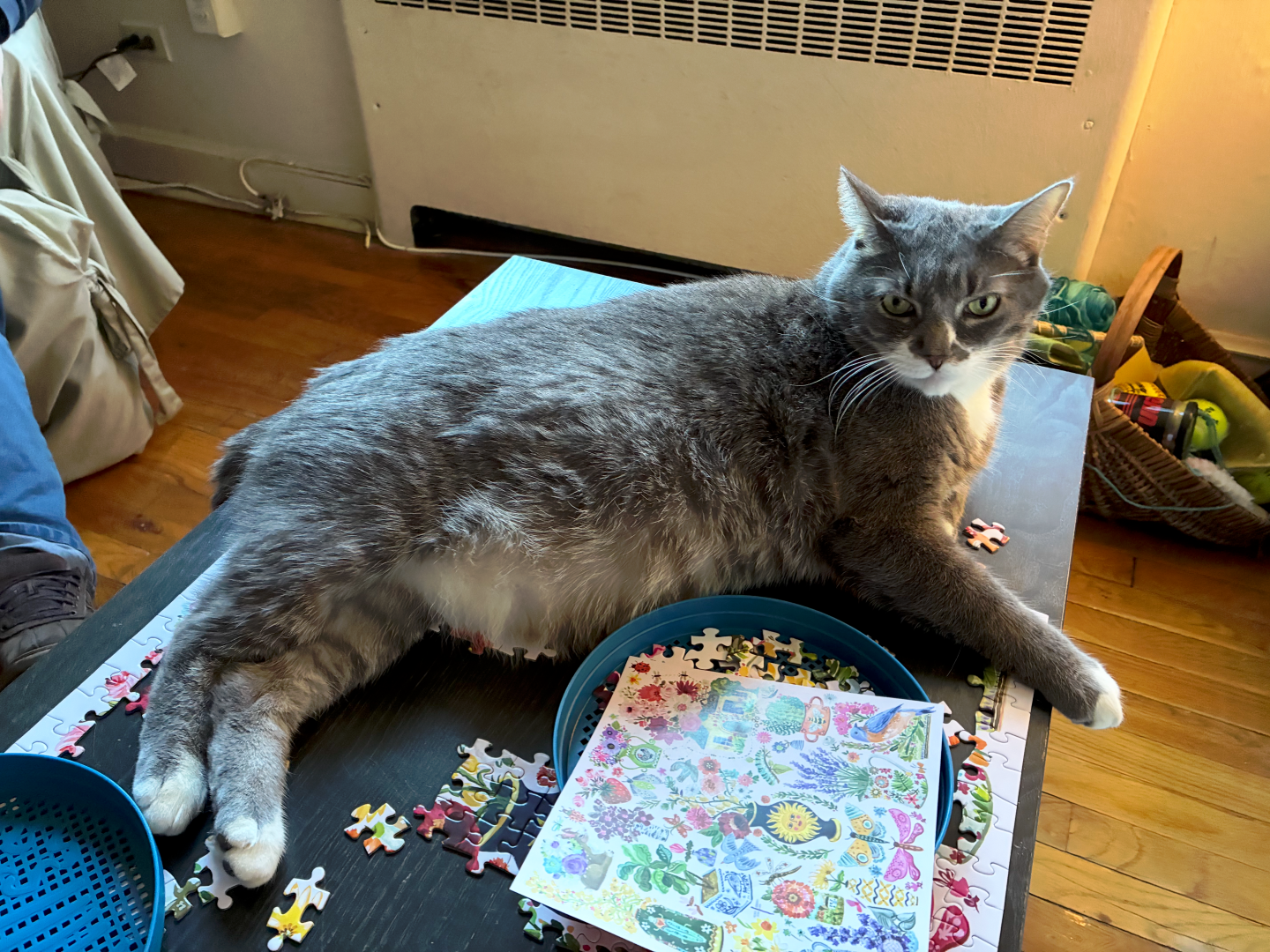 jigsaw-puzzles | Dave Astor on Literature